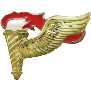 The Pathfinder Badge & Qualification (First In, Last Out) 6 Cutting ...